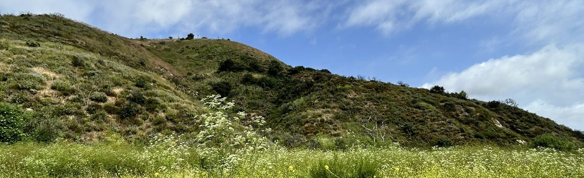 Aliso Creek Trail to Wood Canyon and Rock It Trail Loop: 289 Reviews ...