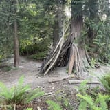 Camp Long Trails, Washington - 166 Reviews, Map | AllTrails