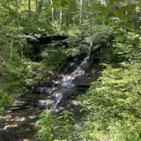 Fall Hollow Falls Trail, Tennessee - 173 Reviews, Map | AllTrails