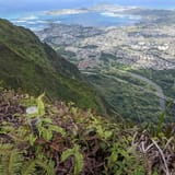 Moanalua Valley and Tripler Ridge Trail Loop, Oahu, Hawaii - 191 ...