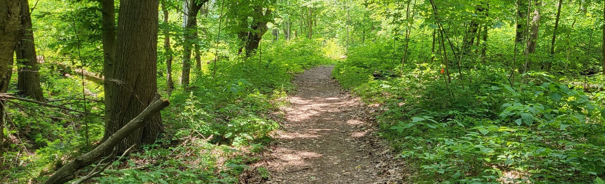 AllTrails | Ravine Creek Trail to Beach: 69 Reviews, Map - Ontario, Canada