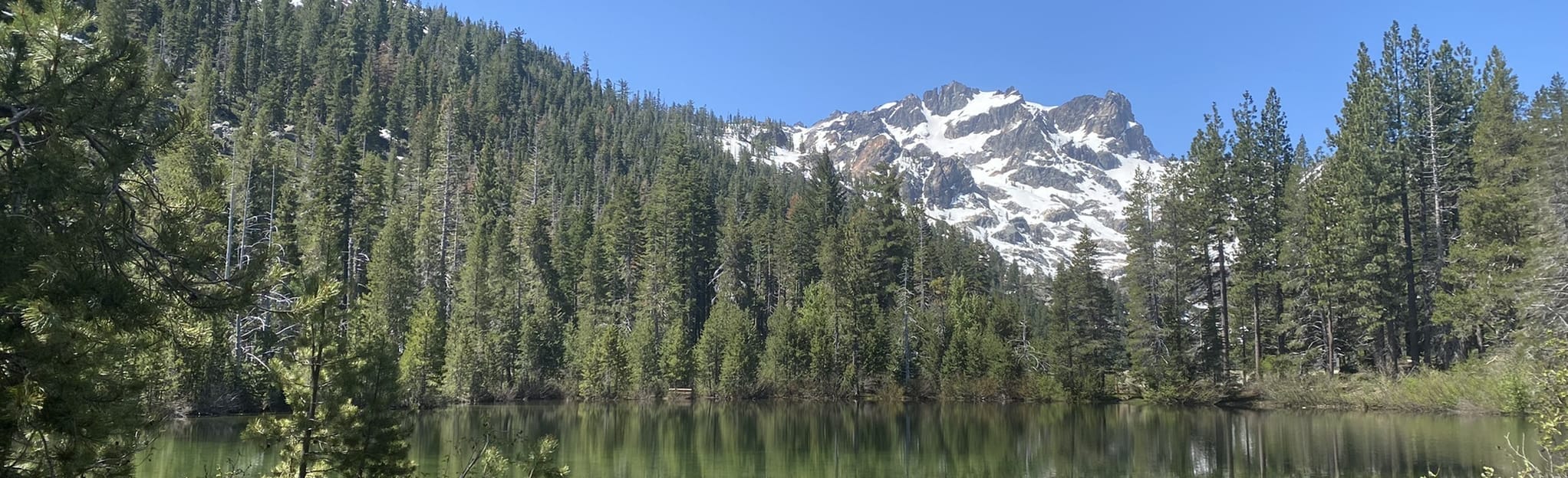 Sand Pond Interpretive Trail, California - 10 Reviews, Map | AllTrails