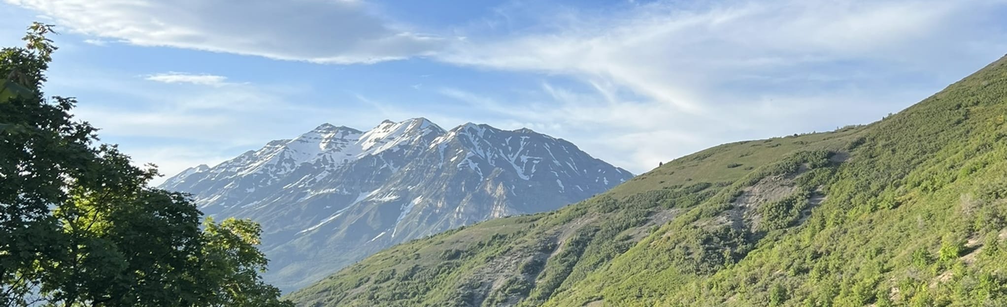 Little Rock Canyon Summit, Utah - 224 Reviews, Map | AllTrails