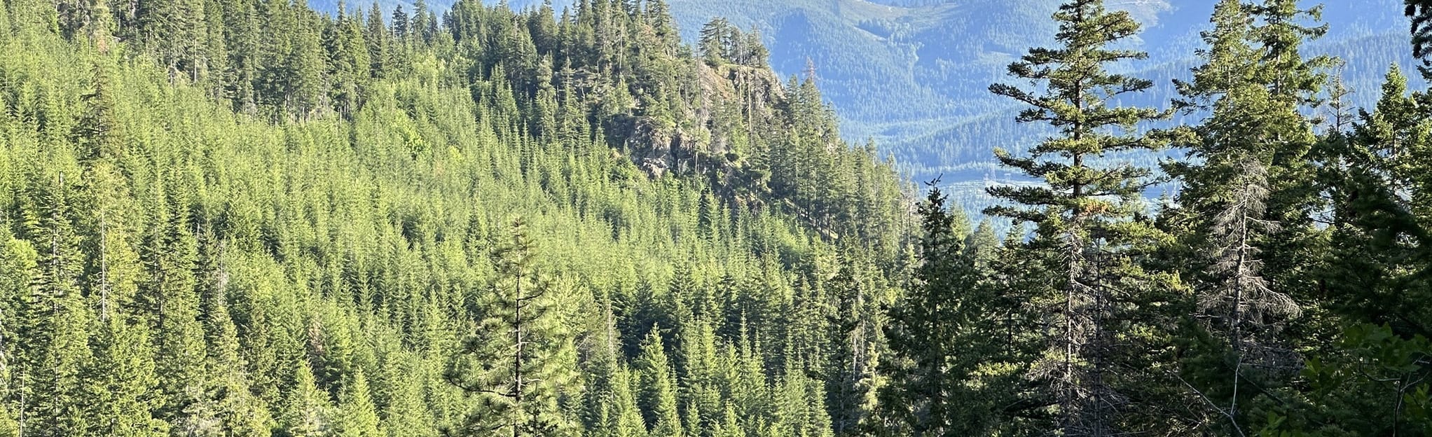 Kachess Ridge Trail, Washington - 69 Reviews, Map | AllTrails