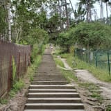 Huckleberry Hill Loop Trail, California - 734 Reviews, Map | AllTrails