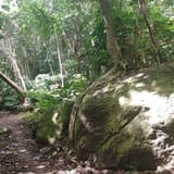Ohana Trail, Oahu, Hawaii - 776 Reviews, Map | AllTrails