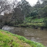 Galatea Point & Dights Falls Loop, Victoria, Australia - 402 Reviews ...