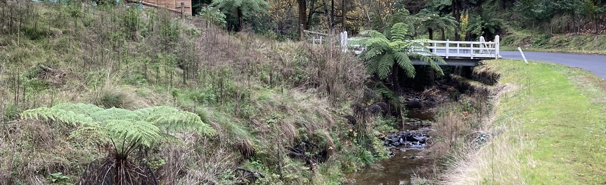 Walhalla Tramline Walkway, Victoria, Australia - 5 Reviews, Map | AllTrails