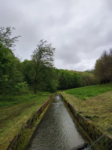 Best Hikes and Trails in Chateau des Comtes de Marchin | AllTrails