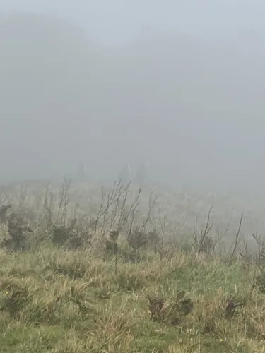 Best Hikes and Trails in Mount Napier State Park | AllTrails