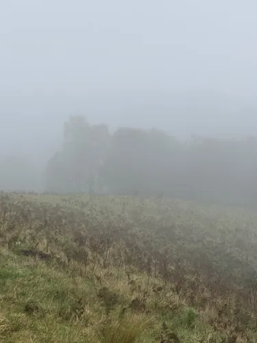 Best Hikes and Trails in Mount Napier State Park | AllTrails