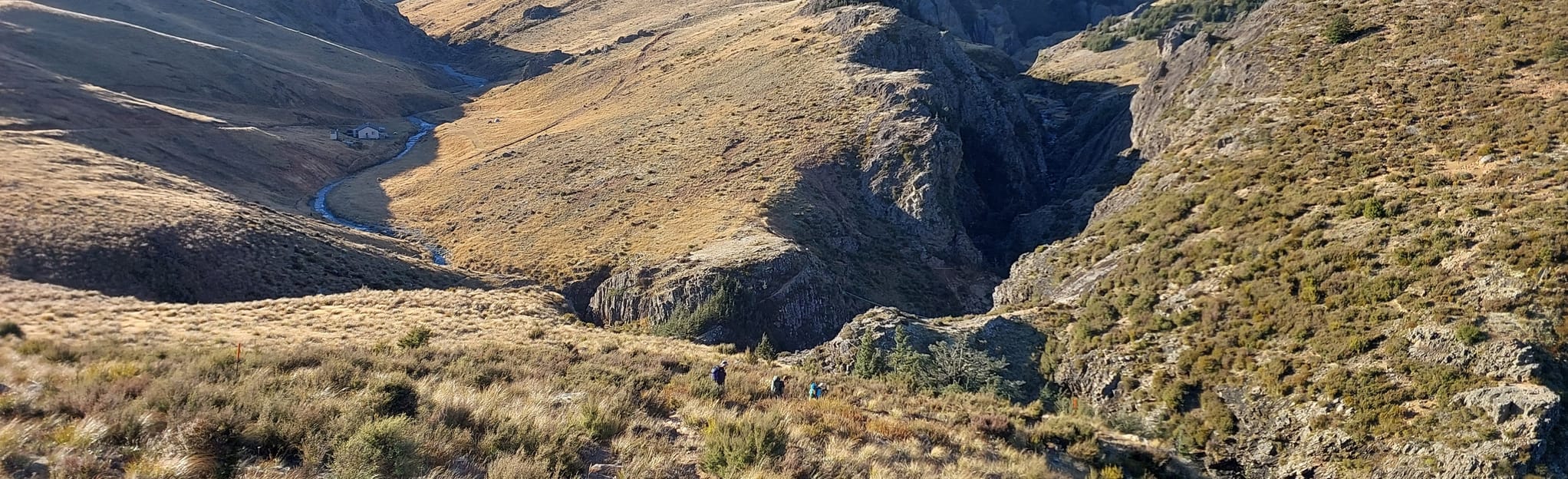 Mount Somers Track via Woolshed Creek Hut: 74 Reviews, Map - Canterbury ...