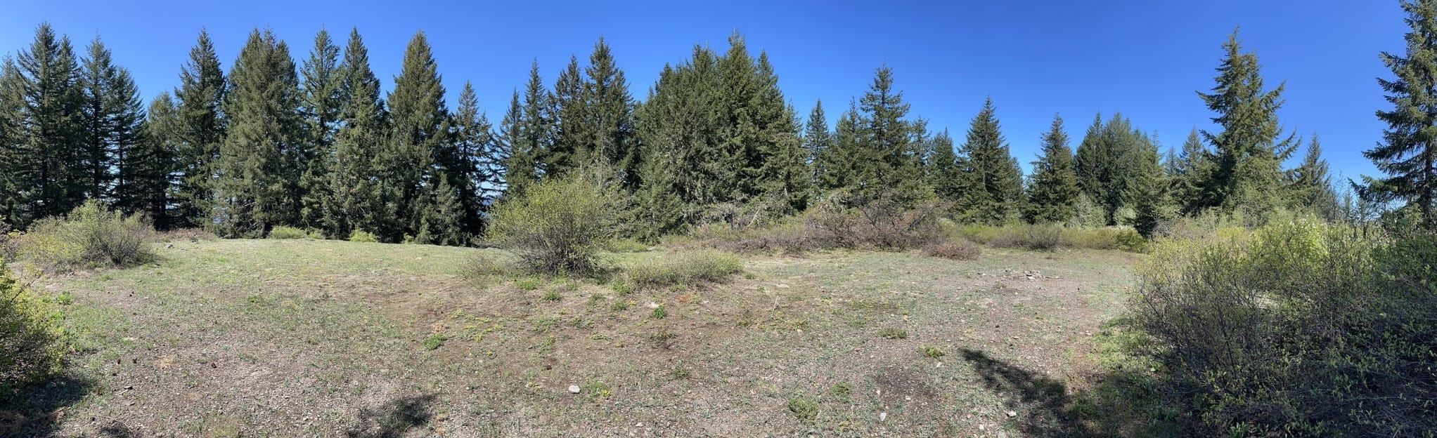 West Side Tire Mountain Trail, Oregon - 10 Reviews, Map | AllTrails