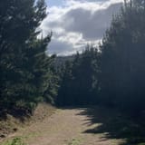 Narrabundah Hill, Australian Capital Territory, Australia - 150 Reviews ...