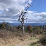 Narrabundah Hill, Australian Capital Territory, Australia - 150 Reviews ...