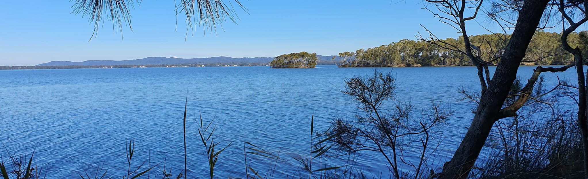 Wyong to Tuggerah Lake Kayak, New South Wales, Australia - Map, Guide ...