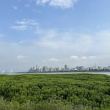 Shezi Island Bicycle Path, Taipei City, Taiwan - 46 Reviews, Map ...