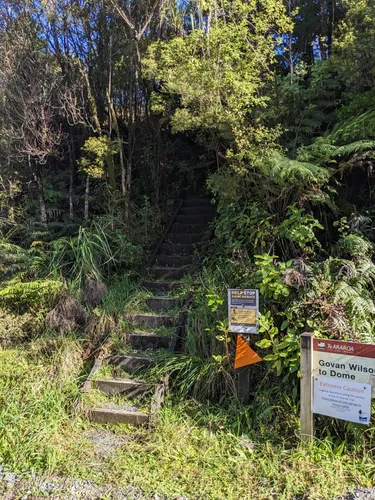 Beste wandelingen en routes in Dome Forest Conservation Area | AllTrails