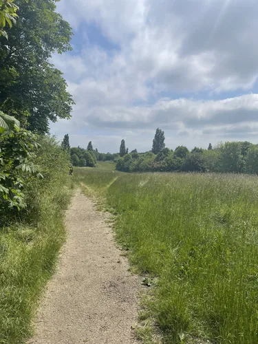 Best Hikes and Trails in Lloyd Park | AllTrails