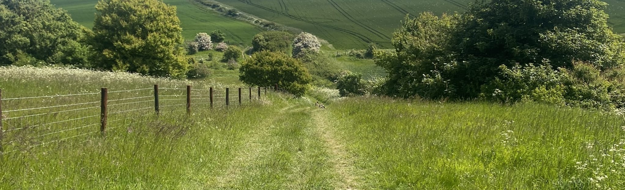 Firle Beacon Circular: 33 Reviews, Map - East Sussex, England | AllTrails