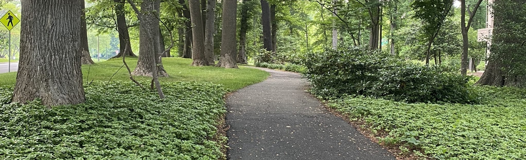 Holmes Run Stream Valley Park Walk, Virginia - 140 Reviews, Map | AllTrails