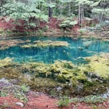 Arbutus Park and Raven Rookery Trail Loop , Massachusetts - 597 Reviews ...