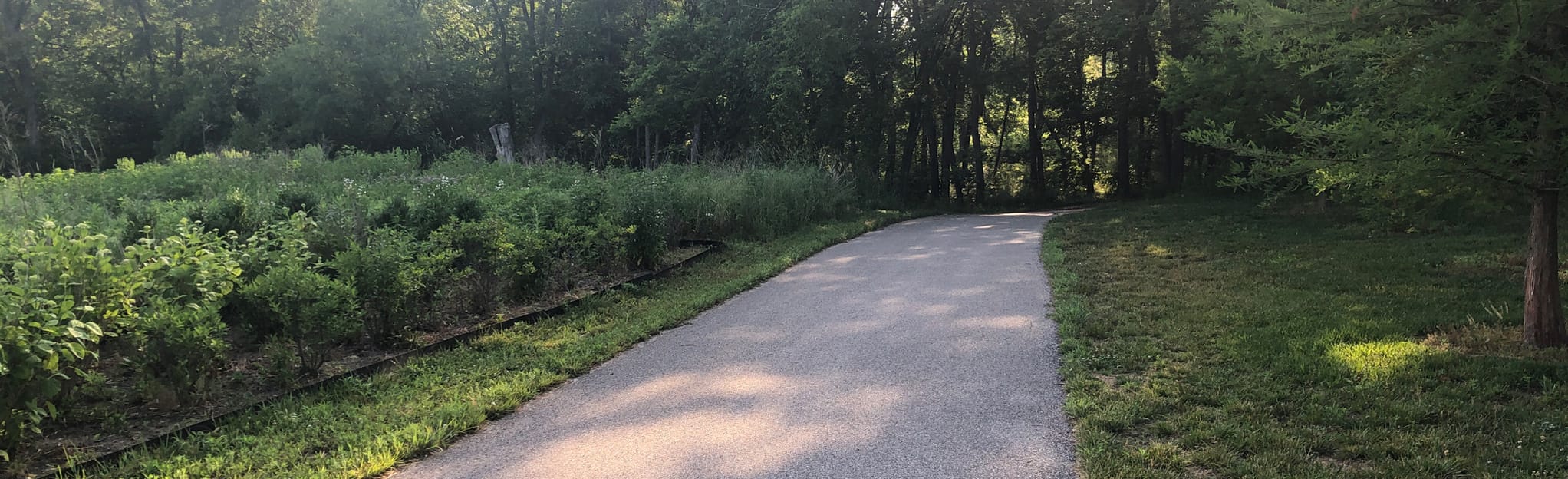 Laurel Park Loop: 127 Reviews, Map - Missouri | AllTrails