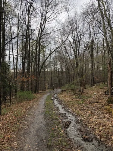 Best Hikes and Trails in Neversink River Unique Area | AllTrails