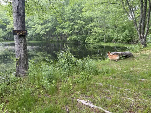 Best Hikes and Trails in Sunny Valley Preserve | AllTrails