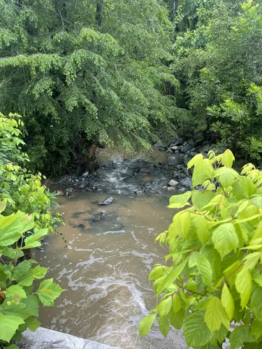 Best Hikes and Trails in Bethabara Park | AllTrails