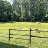 Three Notch Trail, Maryland - 210 Reviews, Map | AllTrails