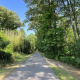 Three Notch Trail, Maryland - 210 Reviews, Map | AllTrails