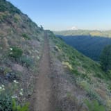 Weldon Wagon Road Trail, Washington - 513 Reviews, Map | AllTrails