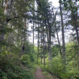 Weldon Wagon Road Trail, Washington - 513 Reviews, Map | AllTrails