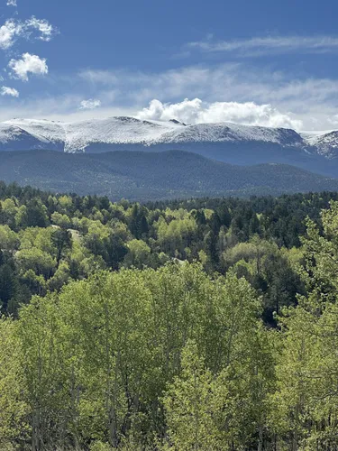 10 Best Hikes and Trails in Mueller State Park | AllTrails