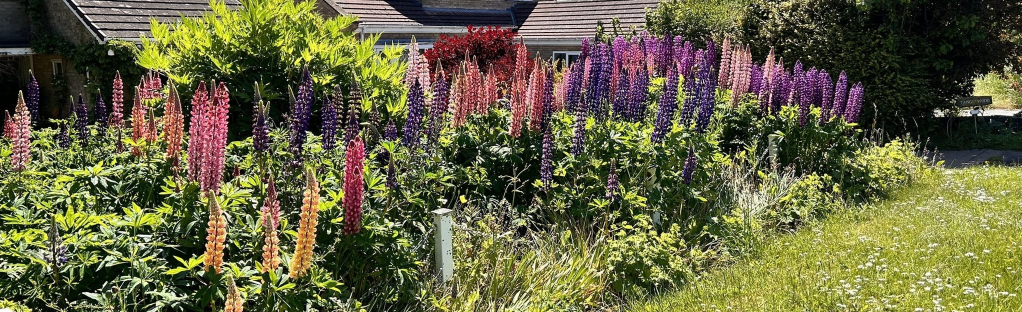 Hutton Buscel and West Ayton Circular, North Yorkshire, England - 9 ...