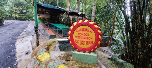 Best Hikes and Trails in Hutan Lipur Bukit Larut | AllTrails