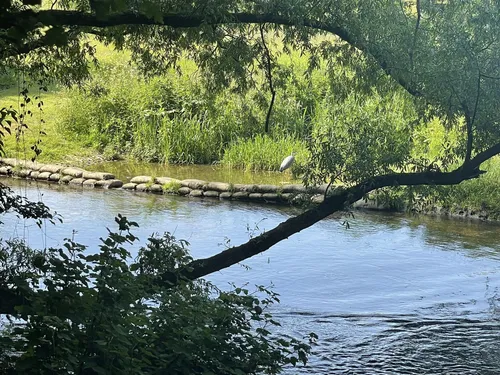 Best Hikes and Trails in Priory Country Park | AllTrails