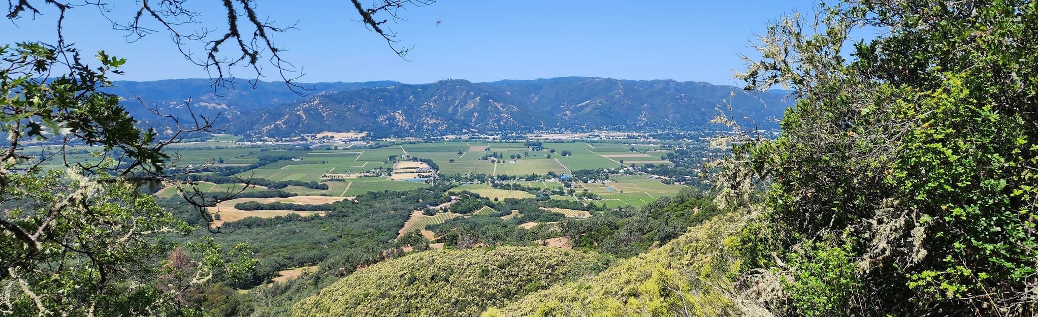 Mill Creek Park Ridge Trail, California - 52 Reviews, Map | AllTrails