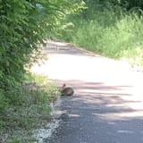 Cooks Butte Loop, Oregon - 399 Reviews, Map | AllTrails