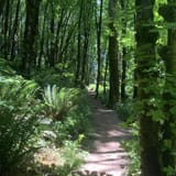 Cooks Butte Loop, Oregon - 399 Reviews, Map | AllTrails
