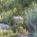 Quail Trail Loop, Utah - 287 Reviews, Map | AllTrails