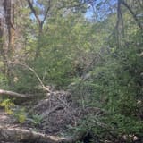 Quail Trail Loop, Utah - 287 Reviews, Map | AllTrails