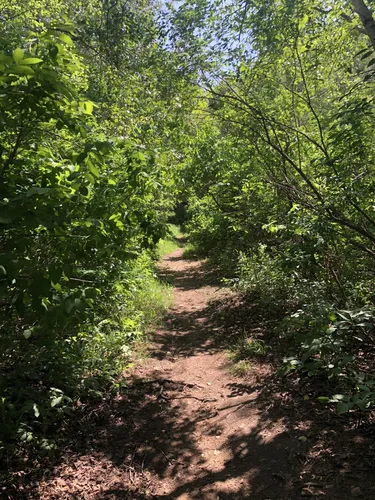 2023 Best Historic Site Trails in Rigaud | AllTrails