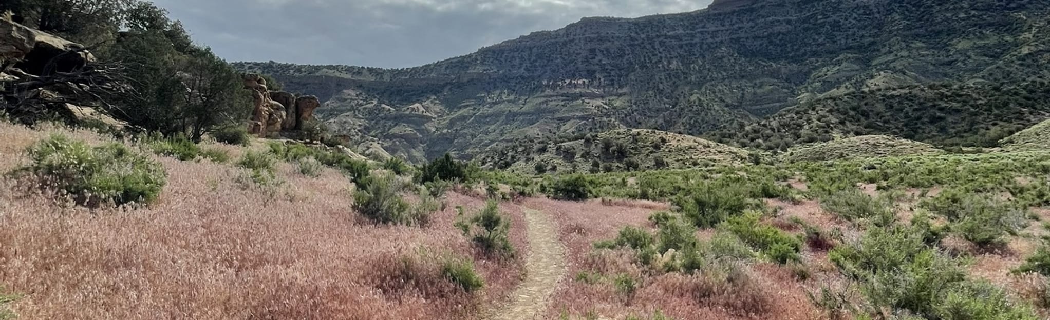 Palisade Rim Upper Loop, Colorado - 237 Reviews, Map | AllTrails