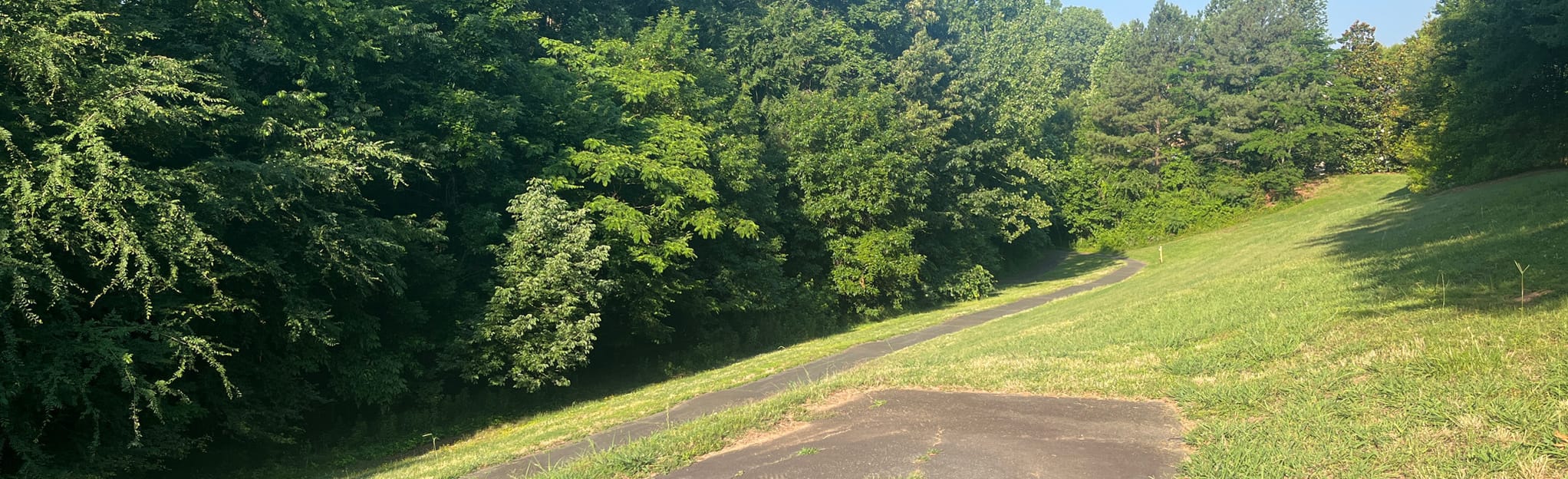 Baxter Trails, South Carolina - 429 Reviews, Map | AllTrails