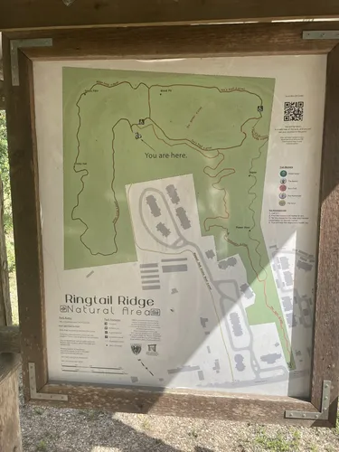 Best Hikes and Trails in Ringtail Ridge Natural Area | AllTrails