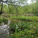 Lake Ontelaunee Trail, Pennsylvania - 185 Reviews, Map | AllTrails