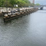 Providence River Walk, Rhode Island - 318 Reviews, Map | AllTrails