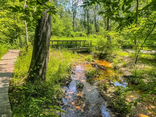 Best Forest Trails in Jug Bay Wetlands Sanctuary | AllTrails